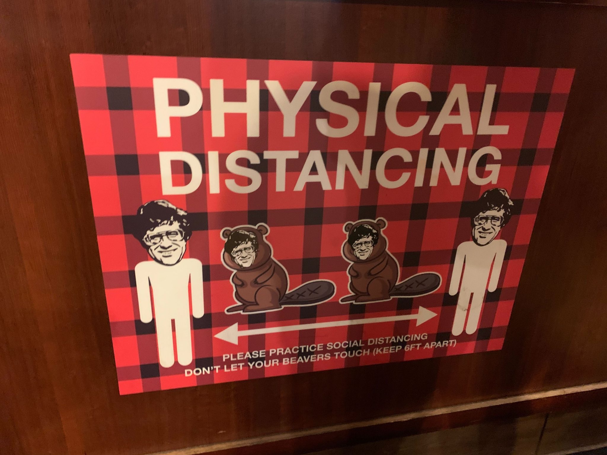 Taking Stock of TIFF : Jacob Burns Film Center