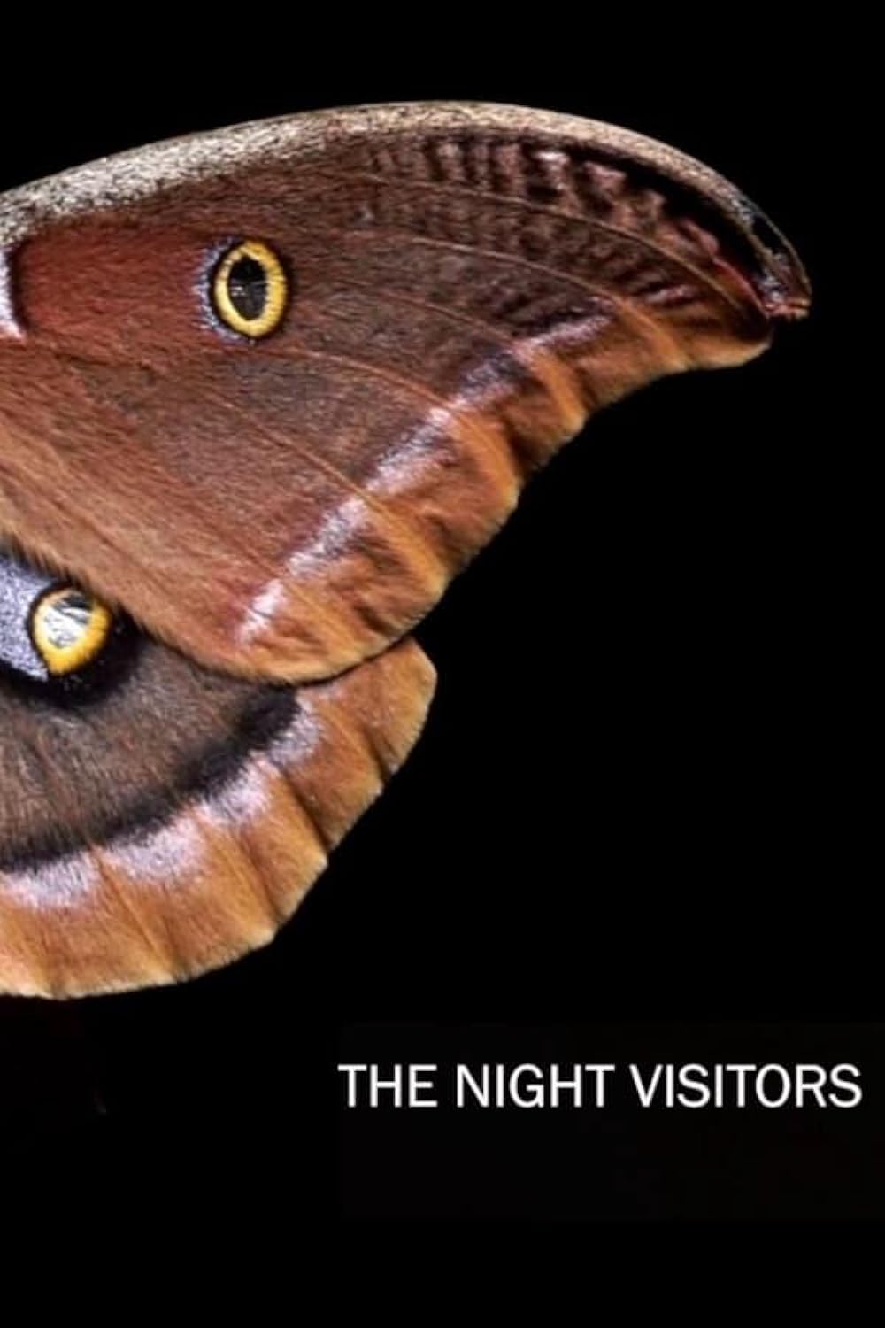 The Night Visitors : Jacob Burns Film Center